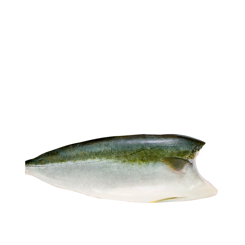 Filetto di Ricciola Hiramasa 800 g/ 1 kg - Clean Seas