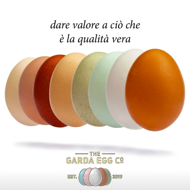 6 Eggs of fine variety - The Garda Egg CO