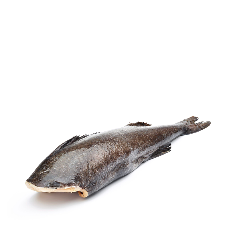 Black Cod Intero Selvaggio Alaska - Yakutat Seafoods