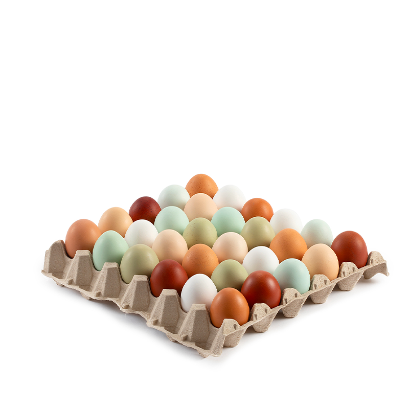 60 Loose eggs of fine variety - The Garda Egg CO