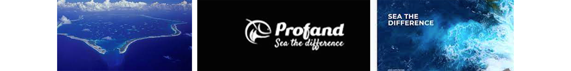 Profand Sea the Difference